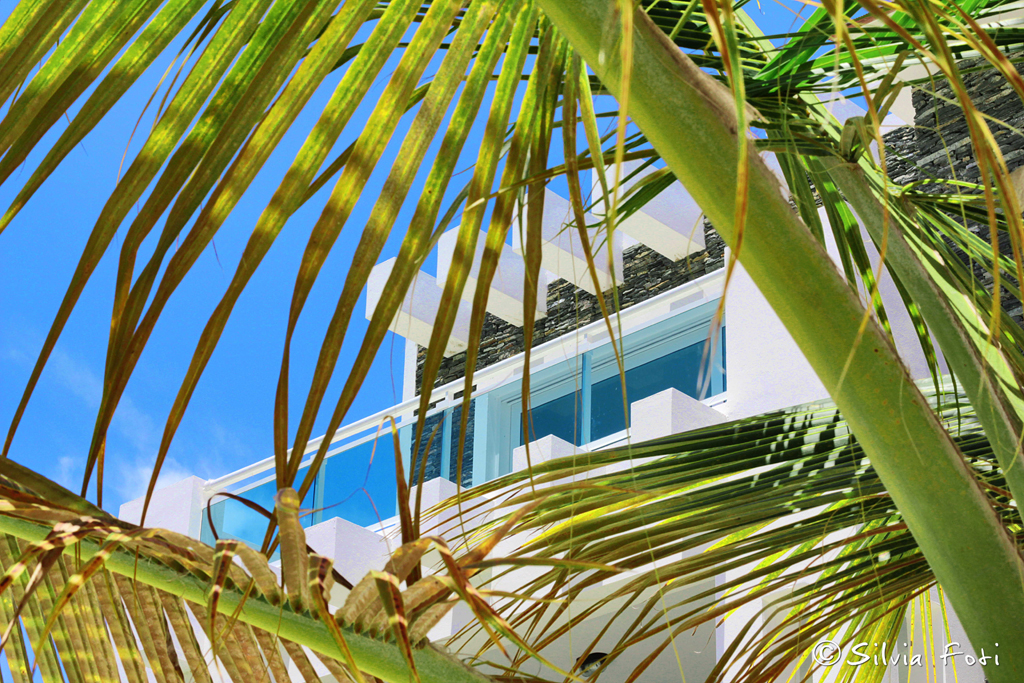 Estrella Dominicus | Gallery - La tua casa ai Caraibi, Santo Domingo ...